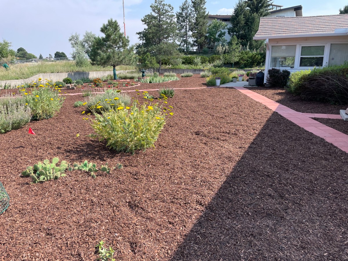 Maintenance – Maya's Landscaping